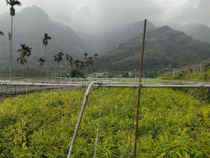 竹崎糞箕湖段建地買建地送農地 嘉義縣竹崎鄉買房子、房屋出售 樂屋網