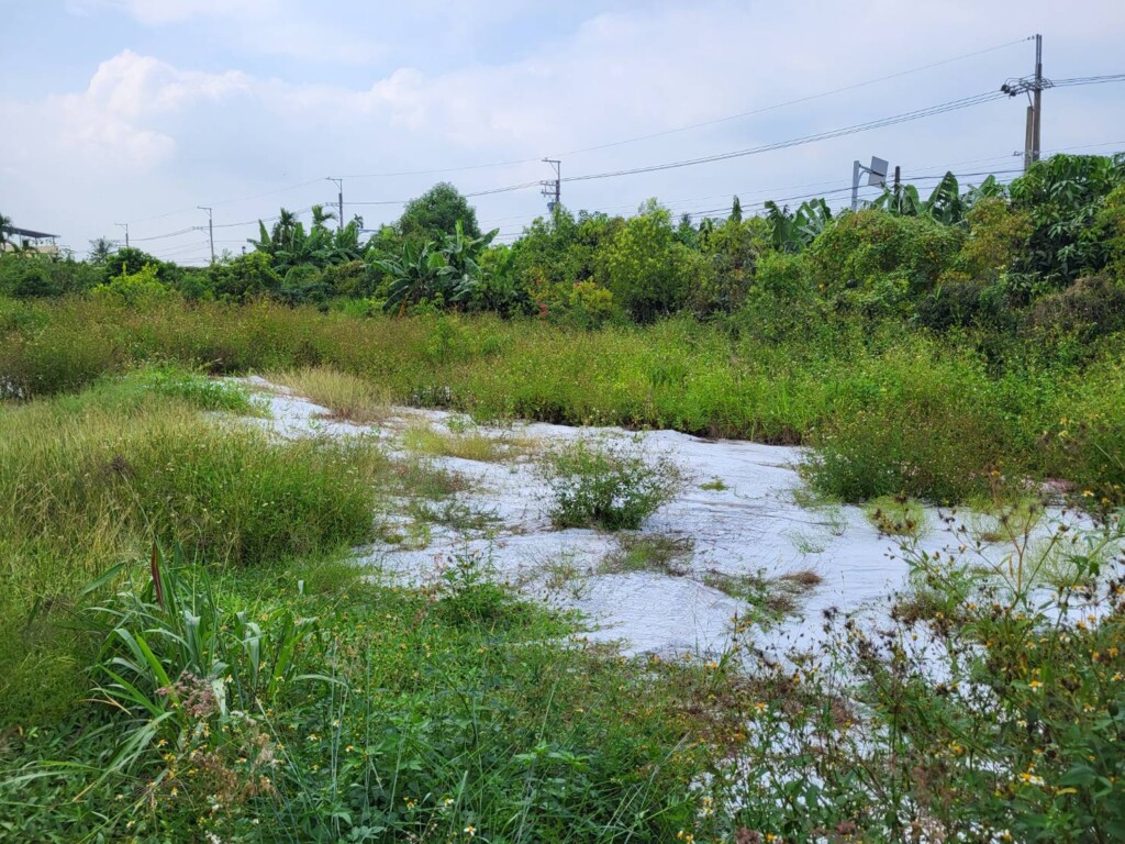 農地屏東縣鹽埔鄉臨路有自來水有電農牧用地屏東縣鹽埔鄉建成街 樂屋網 土地買賣