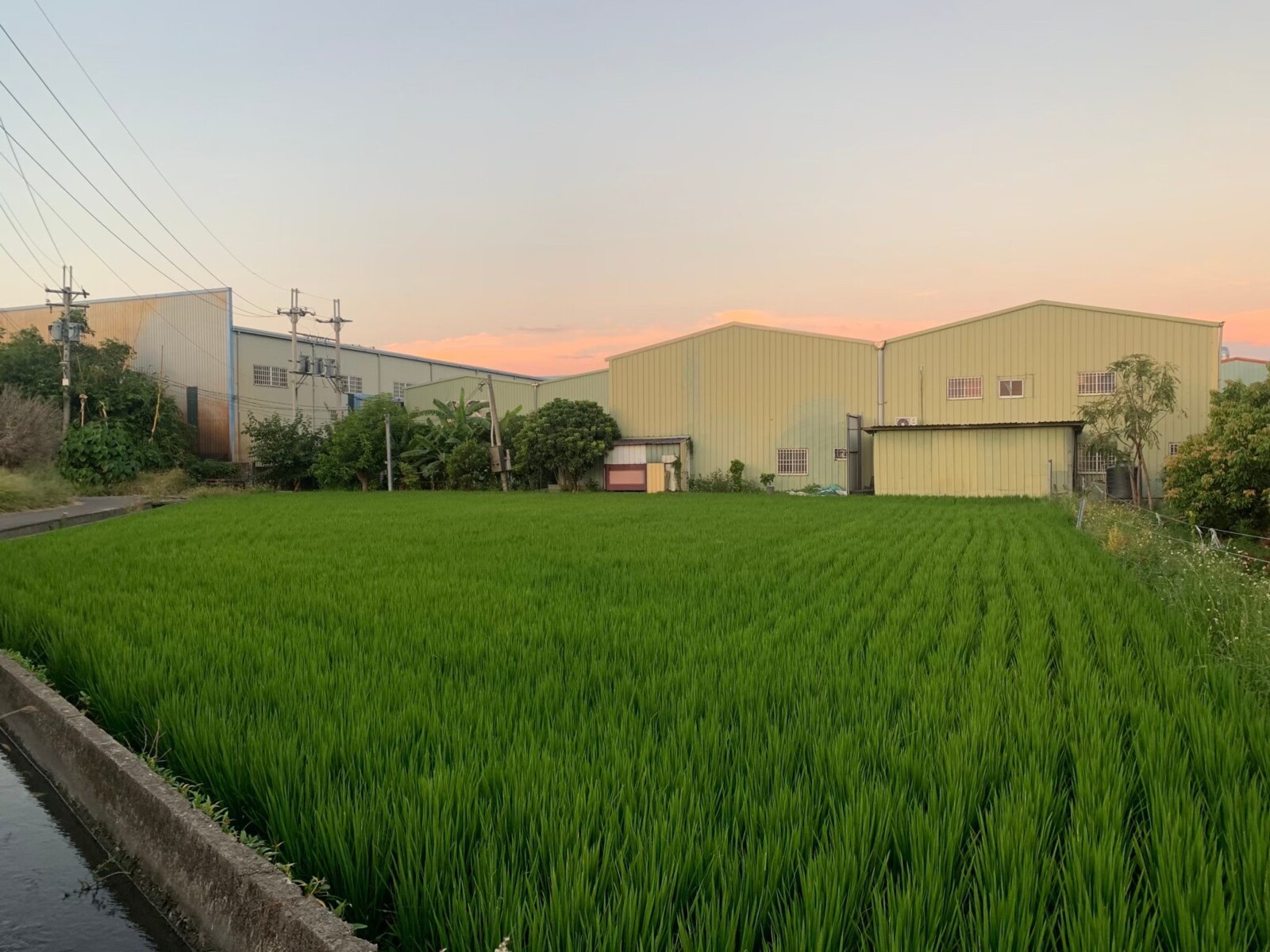 農地近中投公路國道三號烏日面寬53米超值農地台中市烏日區太明路 樂屋網 土地買賣
