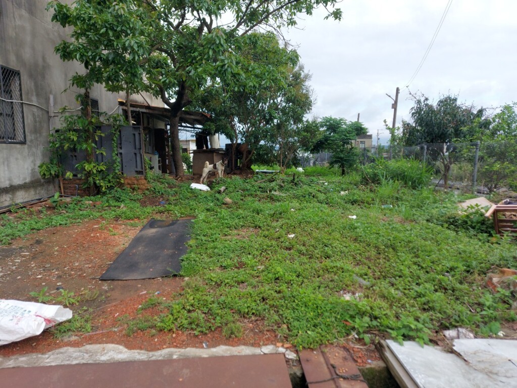 建地新豐 臨西濱20米路建地新竹縣新豐鄉新豐鄉埔頂88號 樂屋網 土地買賣