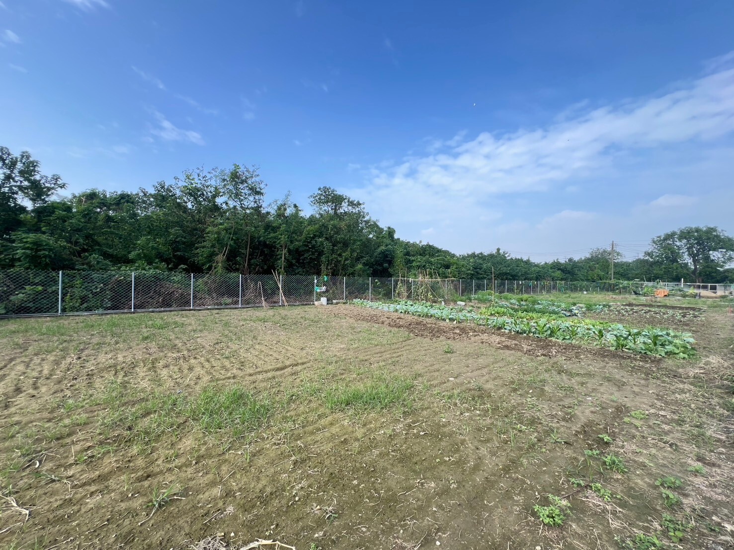 路竹近高雄小城有電有井水大面寬方正漂亮休閒農地 高雄市路竹區買房子、房屋出售 樂屋網