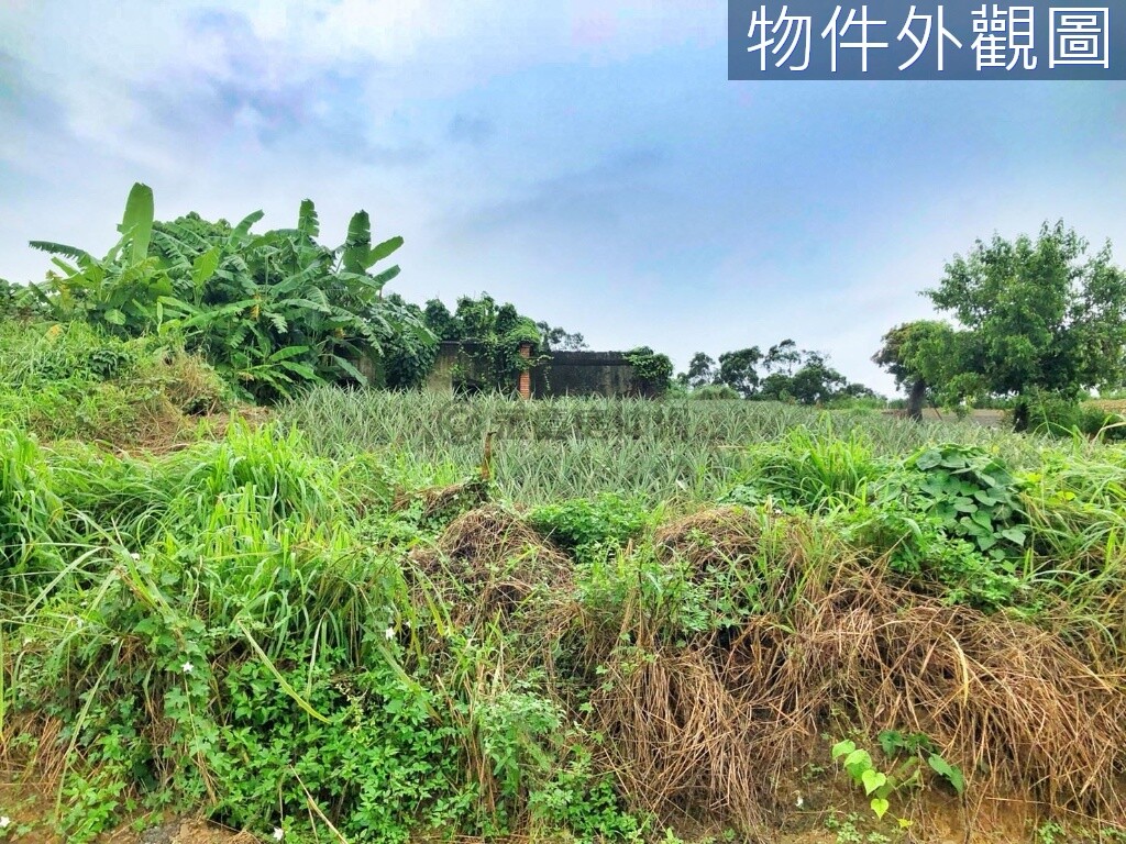 其他大樹金鑽超優農地高雄市大樹區小坪段 樂屋網 土地買賣