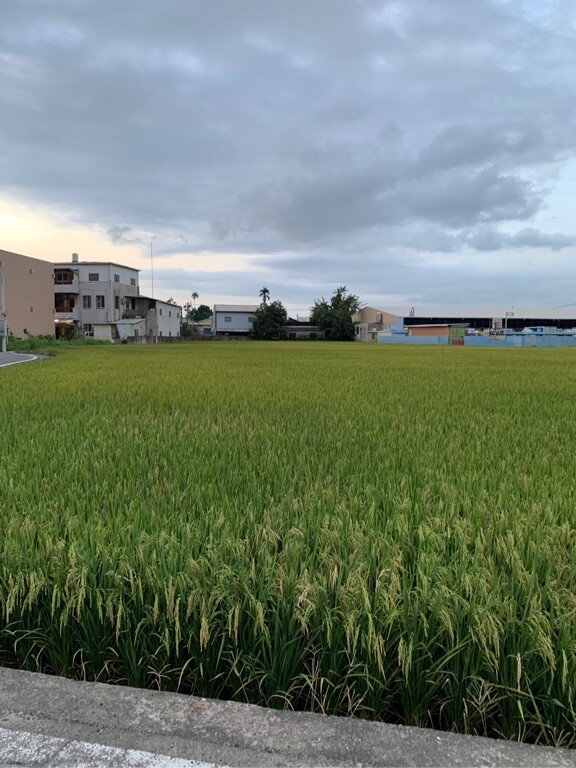 建地近斗南小東工業區 美農建地雲林縣斗南鎮近斗南小東工業區 樂屋網 土地買賣
