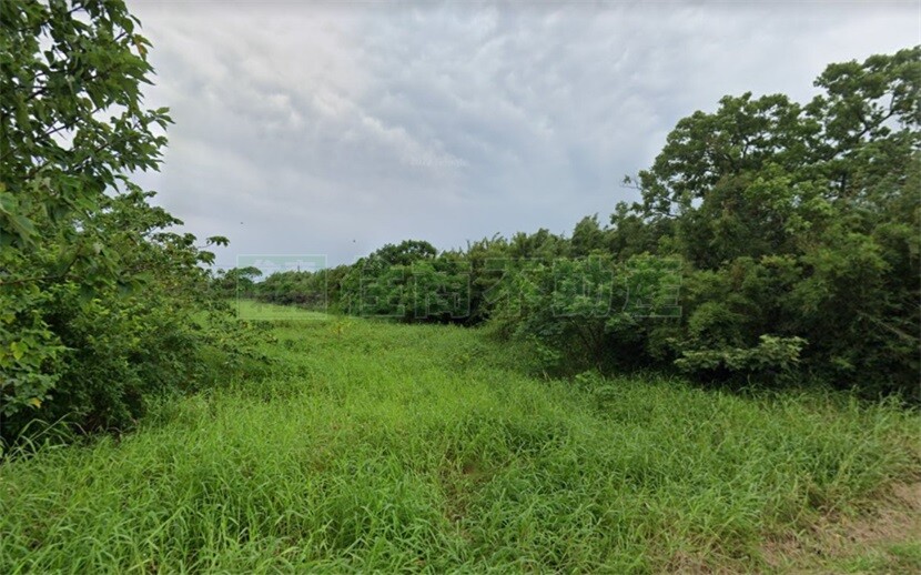觀音崙坪工業區三角窗農地 桃園市觀音區買房子、房屋出售 樂屋網