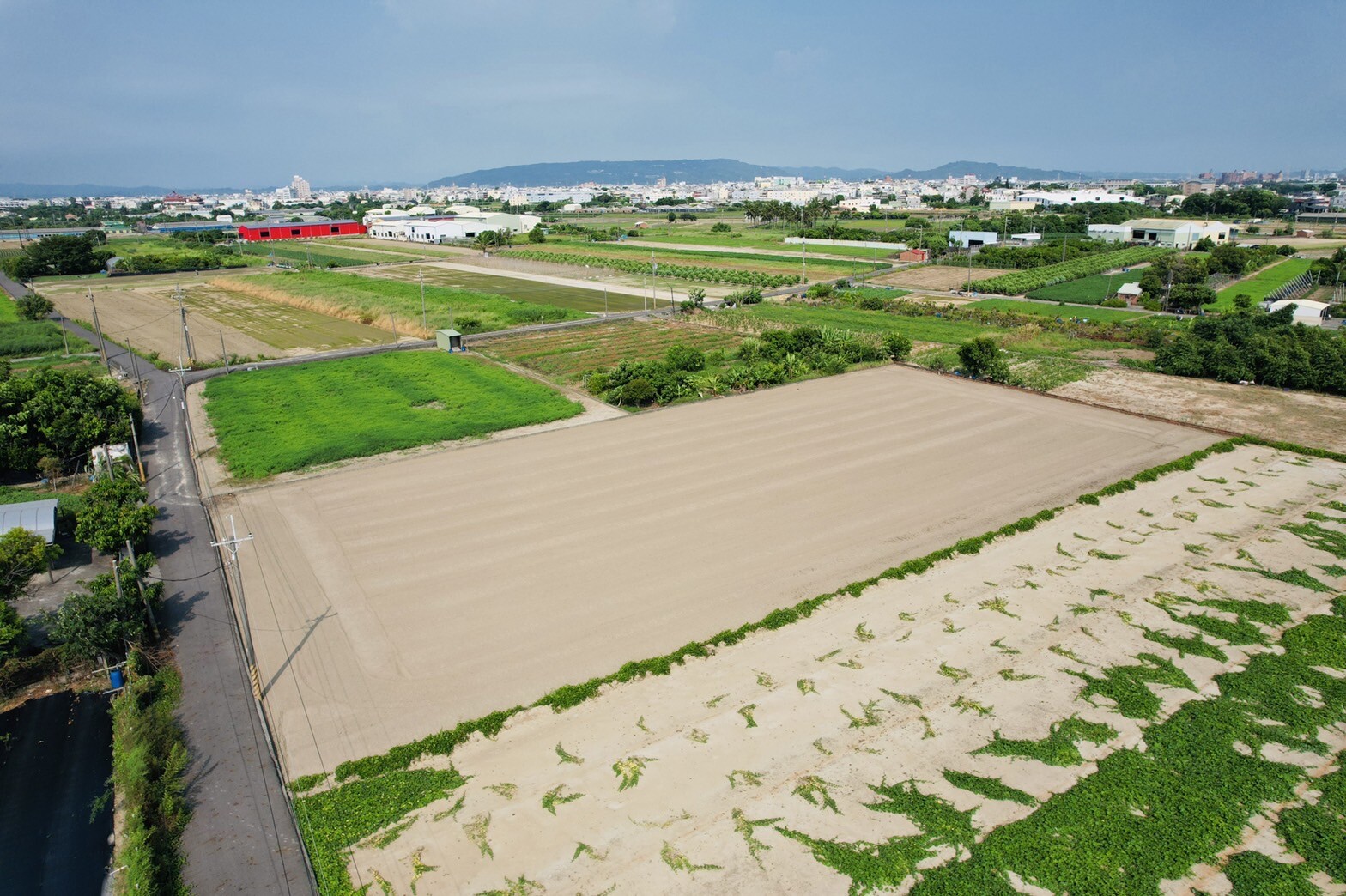 農地 路竹高中 大面寬臨路☘️方正美農地高雄市路竹區延平路 樂屋網 土地買賣