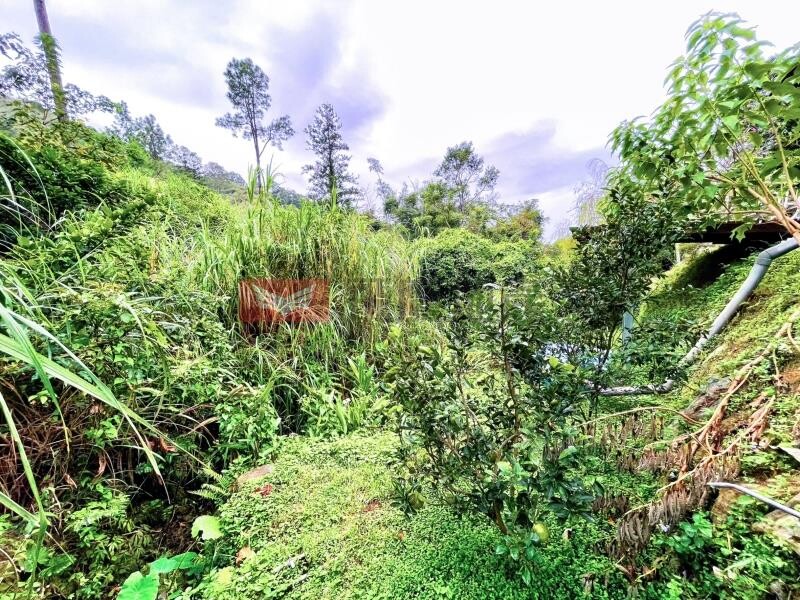 農地南庄農漁合一夢想田園苗栗縣南庄鄉四灣段 樂屋網 土地買賣