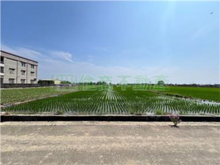 農地【專】縣府168商業區旁重劃農嘉義縣太保市崙子頂段崙頂小段 樂屋網 土地買賣