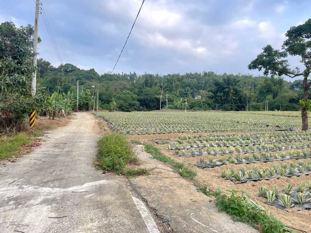 農地高雄內門 旗山農工 社區型516分 低總價高雄市內門區富興街 樂屋網 土地買賣