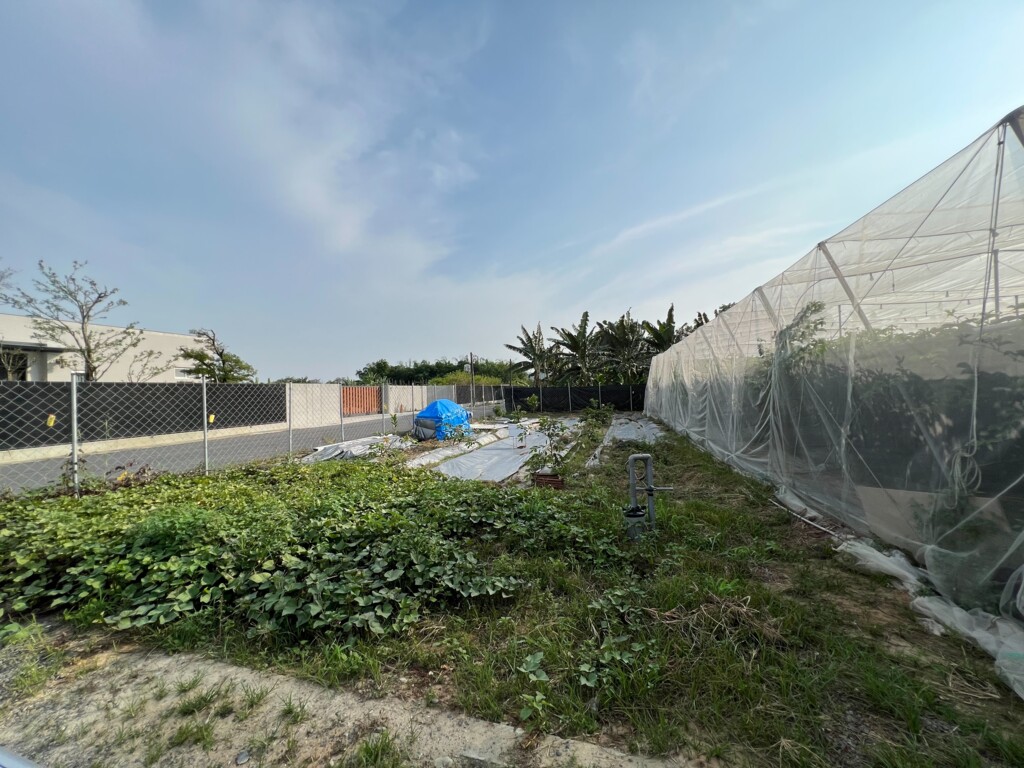 農地旗山雙面臨路漂亮方正農地高雄市旗山區旗山路一段353巷1號 樂屋網 土地買賣