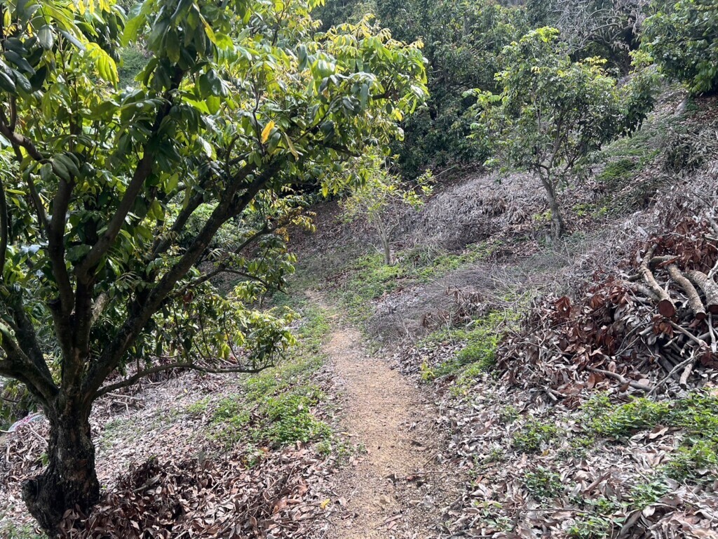 農地太平牛角坑山坡農牧用地台中市太平區德利路 樂屋網 土地買賣