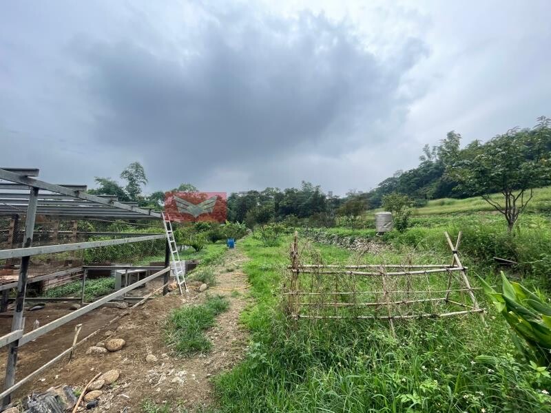 農地銅鑼大地坪美農地苗栗縣銅鑼鄉樟樹段 樂屋網 土地買賣