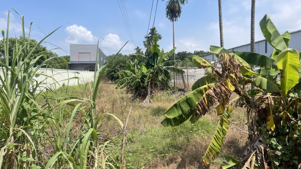 農地仁武區灣內農會近登發商圈都內農地高雄市仁武區仁心路 樂屋網 土地買賣