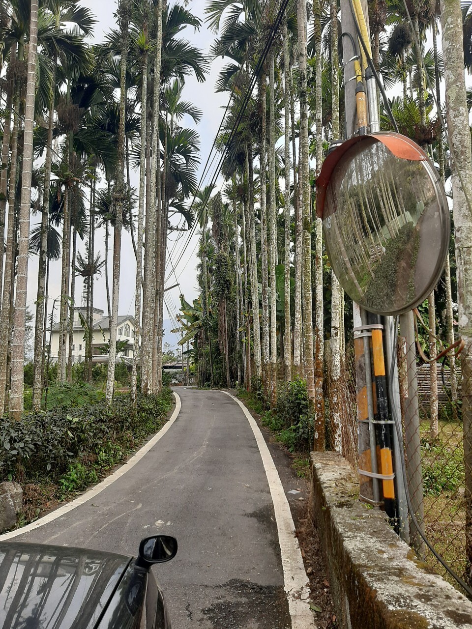 住宅用地近日月潭大建地~~~大埔里房仲專家南投縣魚池鄉魚池街 樂屋網 土地買賣