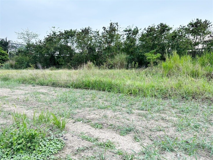 農地關廟龜洞段小而美農地台南市關廟區龜洞段 樂屋網 土地買賣