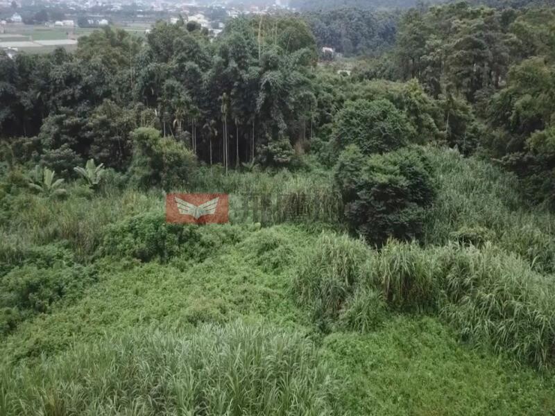 農地低總價持分農地a南投縣埔里鎮珠格段 樂屋網 土地買賣