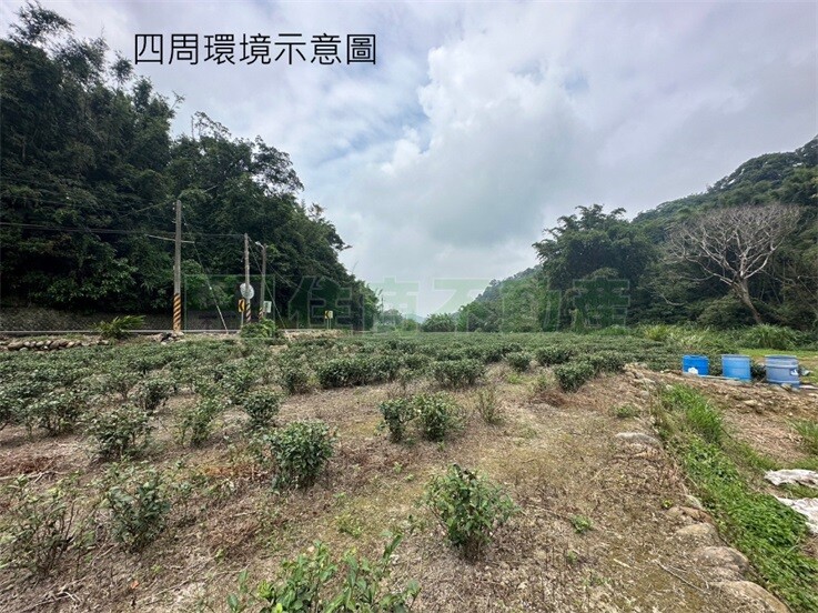 農地爺爺的後花園新竹縣關西鎮大旱坑段南坑小段 樂屋網 土地買賣