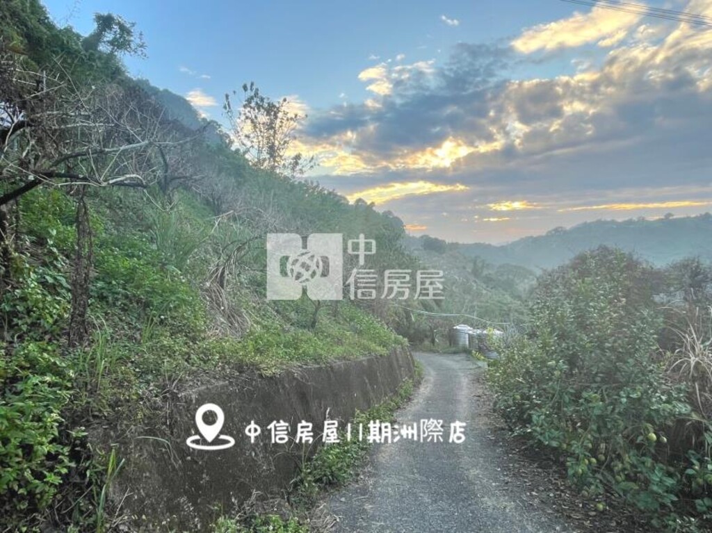 農地獨家東勢百果農地 有水有電 超便宜台中市東勢區大茅埔段 樂屋網 土地買賣