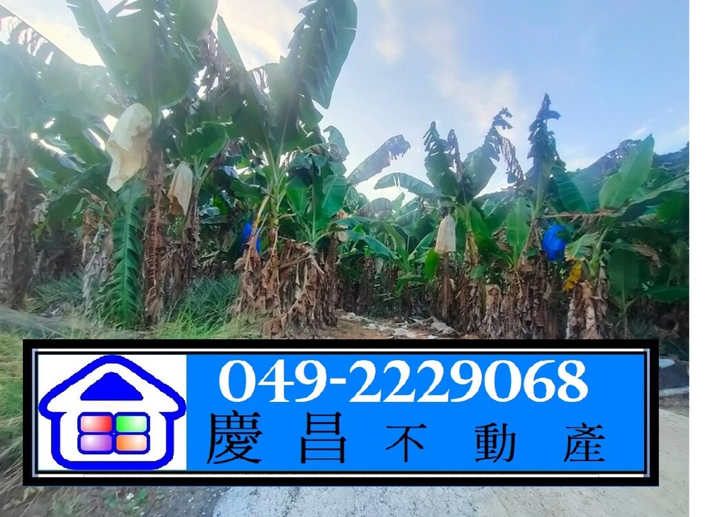 農地慶昌不動產 南投買房農建地名間竹圍大面寬農地南投縣名間鄉大坑巷 樂屋網 土地買賣