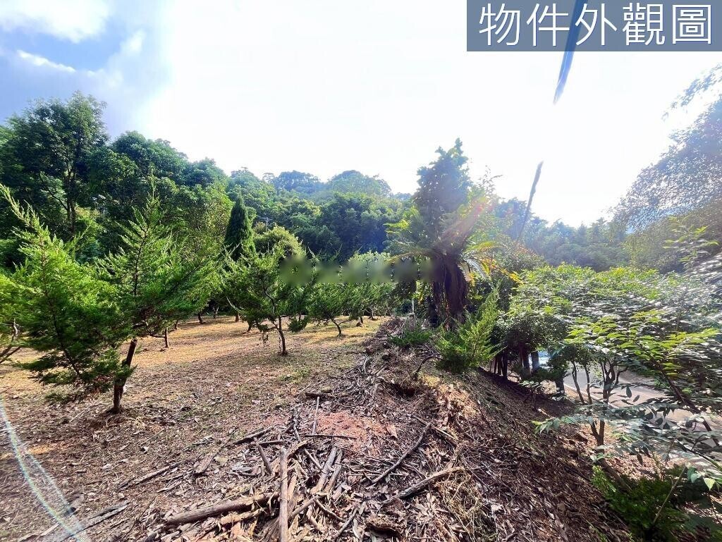 獅潭便宜優質農地林地 苗栗縣獅潭鄉買房子、房屋出售 樂屋網