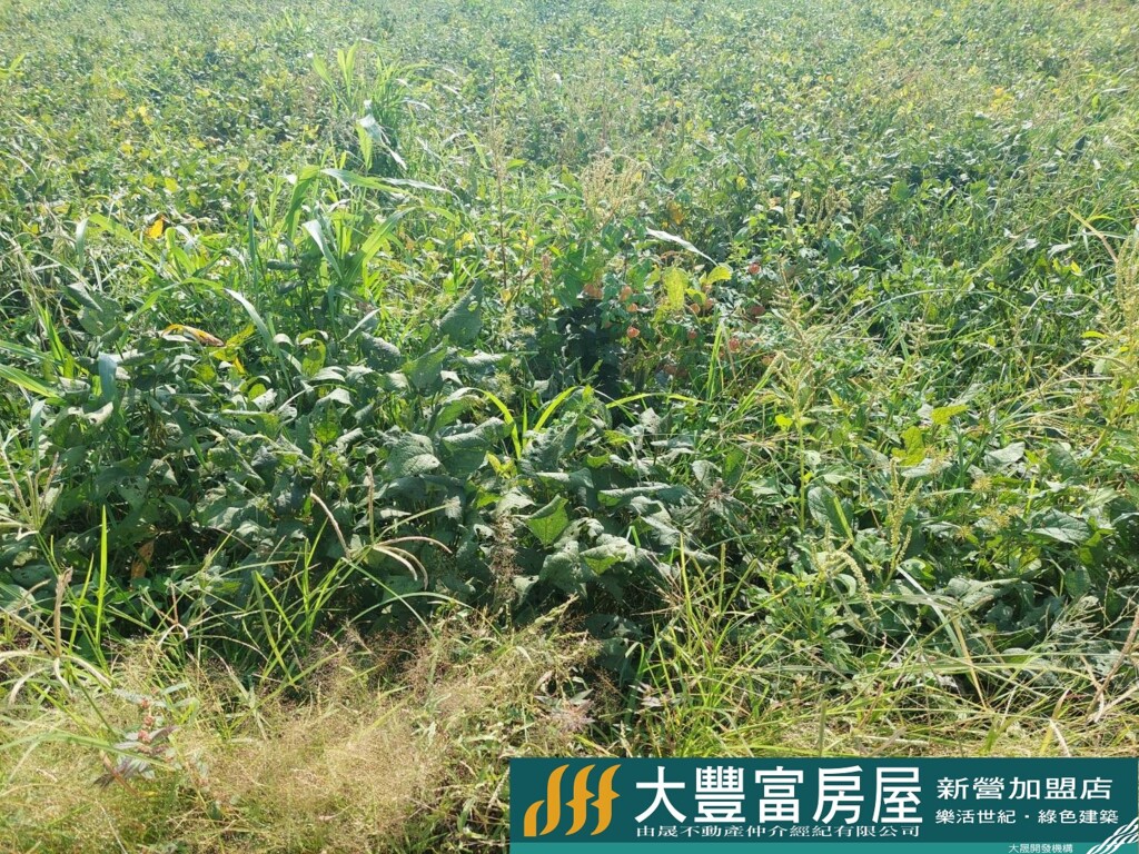 農地柳營外環道出價就談美農地台南市柳營區外環段 樂屋網 土地買賣