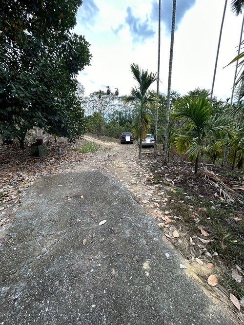 農地社口黃金果園農地 嘉義廣成嘉義縣中埔鄉社口 樂屋網 土地買賣