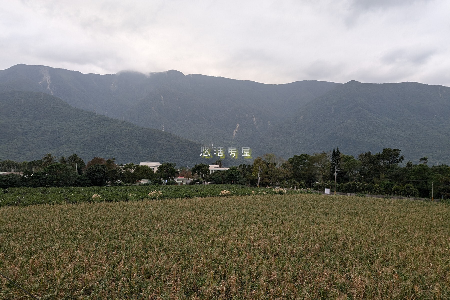 專任新城鄉公所旁田園邊間透天 花蓮縣新城鄉買房子、房屋出售 樂屋網