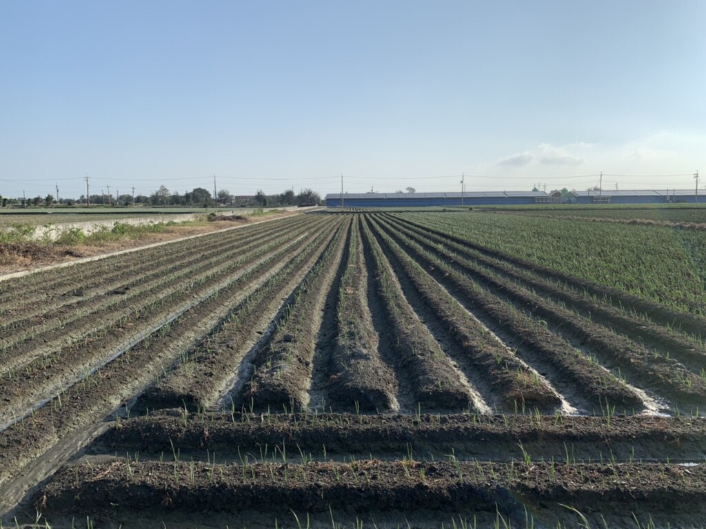 農地秒殺,低於市價【肥沃農地開心農場】臨馬路近明德國小雲林縣四湖鄉溪尾村 樂屋網 土地買賣