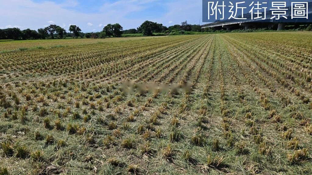 B0132417嘉義六腳鄉灣北高鐵旁大坪數方正農地 嘉義縣六腳鄉買房子、房屋出售 樂屋網