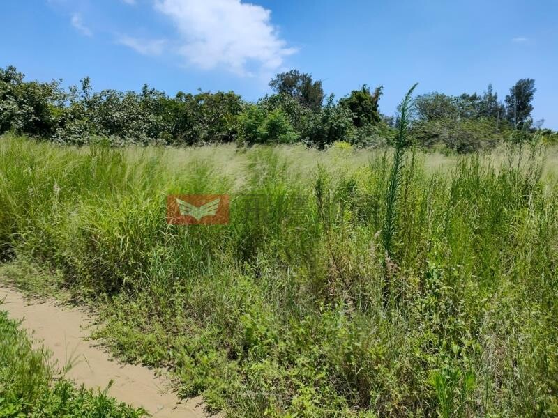 農地三峰路旁寧靜平坦美農地苗栗縣竹南鎮西崎頂段 樂屋網 土地買賣