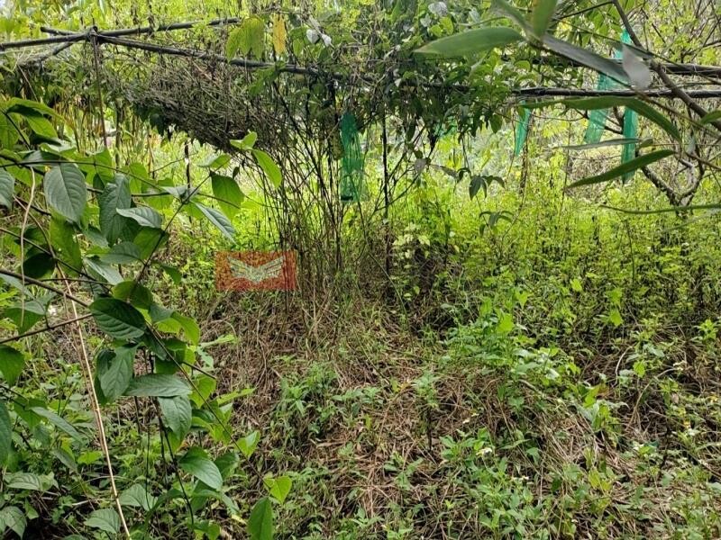 專任關西下橫坑美建地 新竹縣關西鎮買房子、房屋出售 樂屋網
