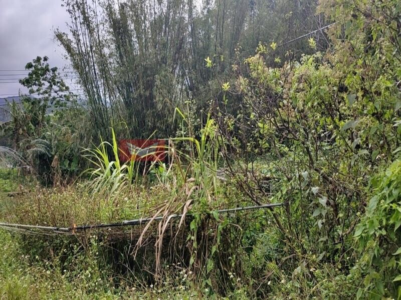 專任關西下橫坑美農地 新竹縣關西鎮買房子、房屋出售 樂屋網