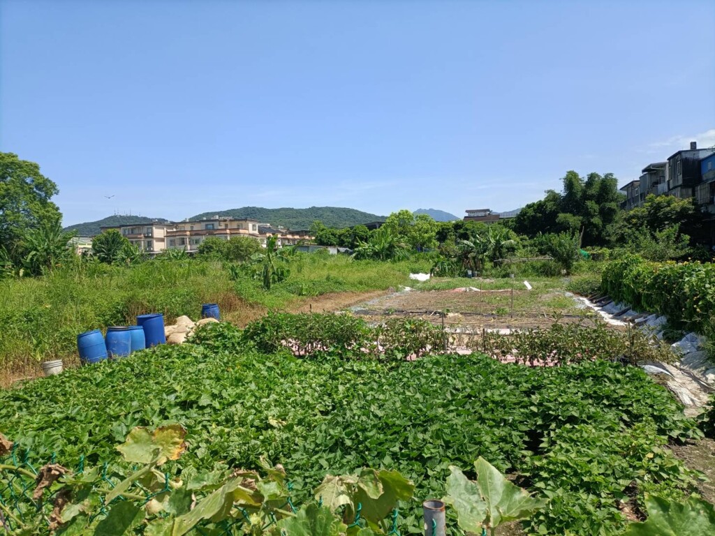 建地北成房屋【蘇澳光榮都內住宅用地】~宜蘭縣蘇澳鎮光榮路 樂屋網 土地買賣