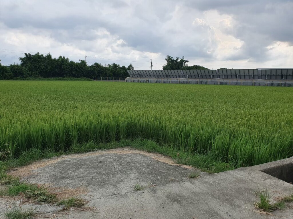 農地土庫交流道漂亮農地雲林縣土庫鎮廟子 樂屋網 土地買賣