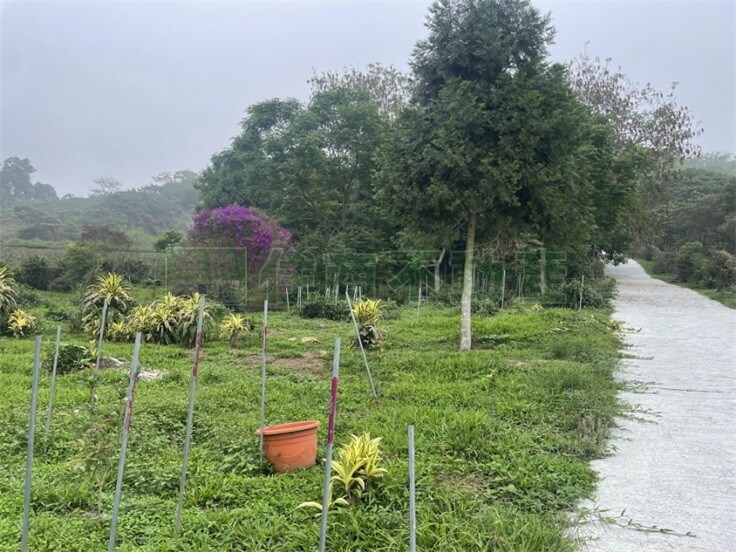 農地竹山臨路稀有大地坪農地南投縣竹山鎮坪頂路 樂屋網 土地買賣