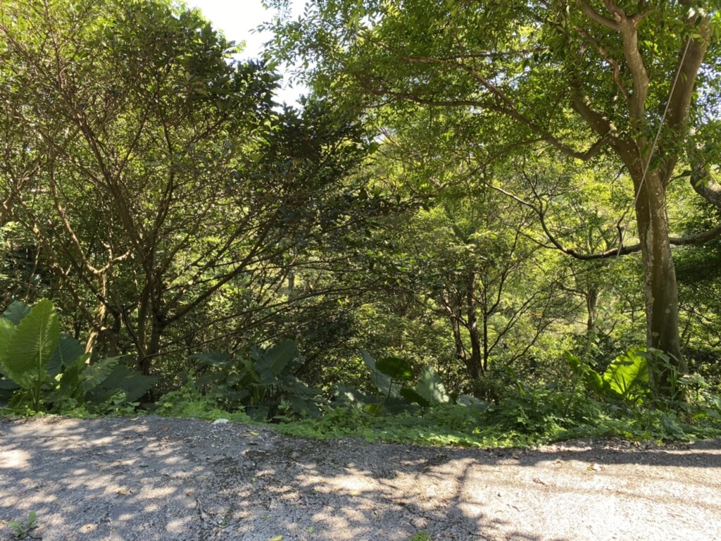 新北市三峽區白雞段紫微小段農地永慶三峽大義店~白雞384開心農地 房屋出租 樂屋網