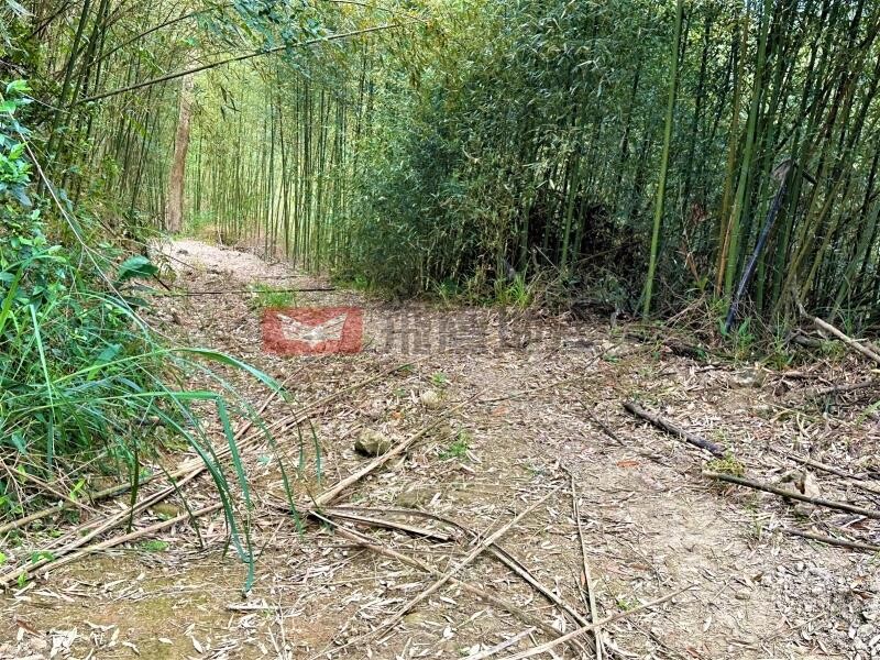 農地專任獅潭視野買地送屋苗栗縣獅潭鄉獅潭段 樂屋網 土地買賣