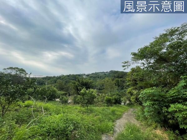 農地寶山 ️稀有臨路橘子園【姵榛好房】新竹縣寶山鄉新湖路四段 樂屋網 土地買賣