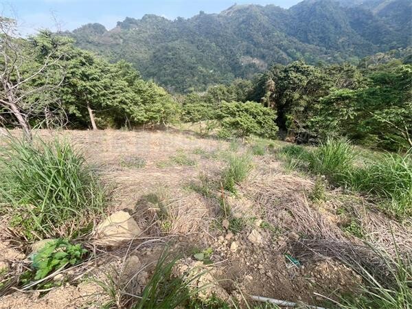 農地農保必看：新社便宜大大大農地！台中市新社區中興街 樂屋網 土地買賣