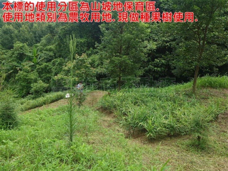 土地2061bo苗栗卓蘭美農地苗栗縣卓蘭鎮大坪林段 樂屋網 土地買賣