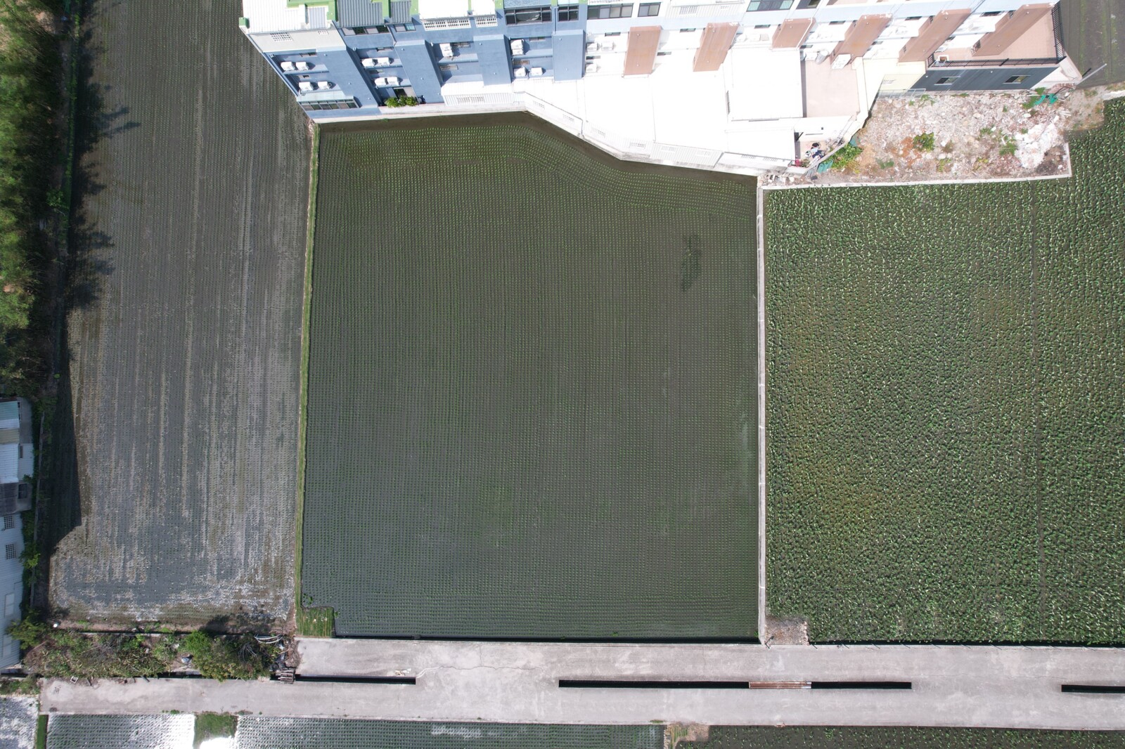 農地空拍 大甲稀有甲農段特定農業區方正農地台中市大甲區北堤西路 樂屋網 土地買賣
