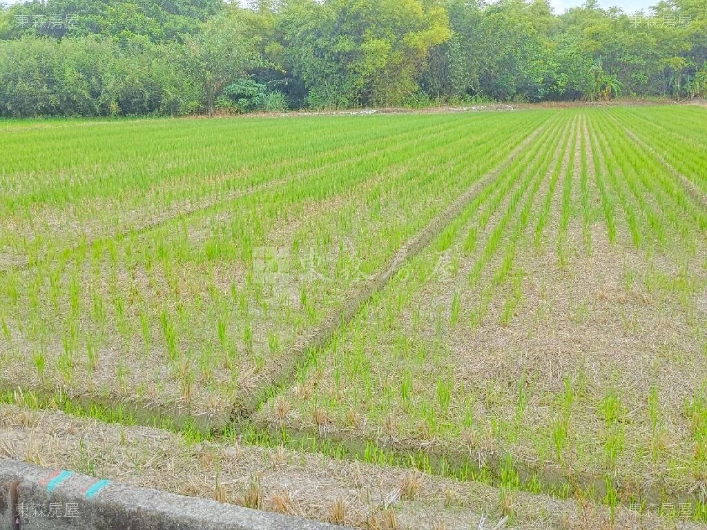 土地礁溪大面寬足坪農地近省道市區大面寬足兩分半宜蘭縣礁溪鄉三民一段 樂屋網 土地買賣