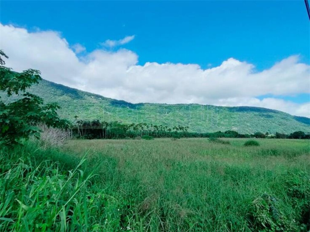 農地壽豐面寬方正農地花蓮縣壽豐鄉壽山段 樂屋網 土地買賣