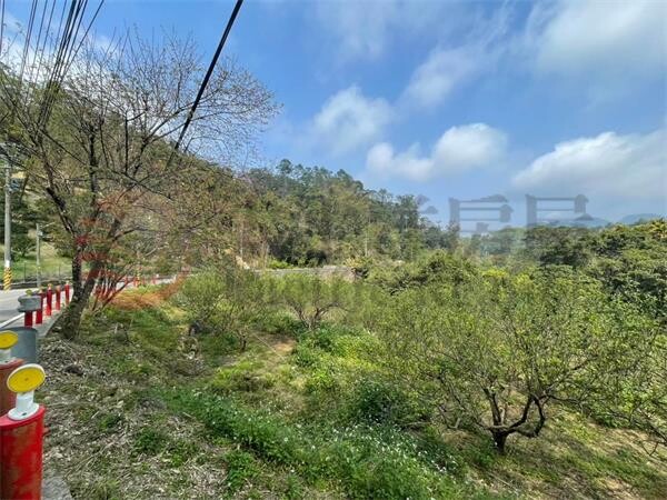 土地關西鎮便宜景觀美農地新竹縣關西鎮馬武督段赤柯山小段 樂屋網 土地買賣
