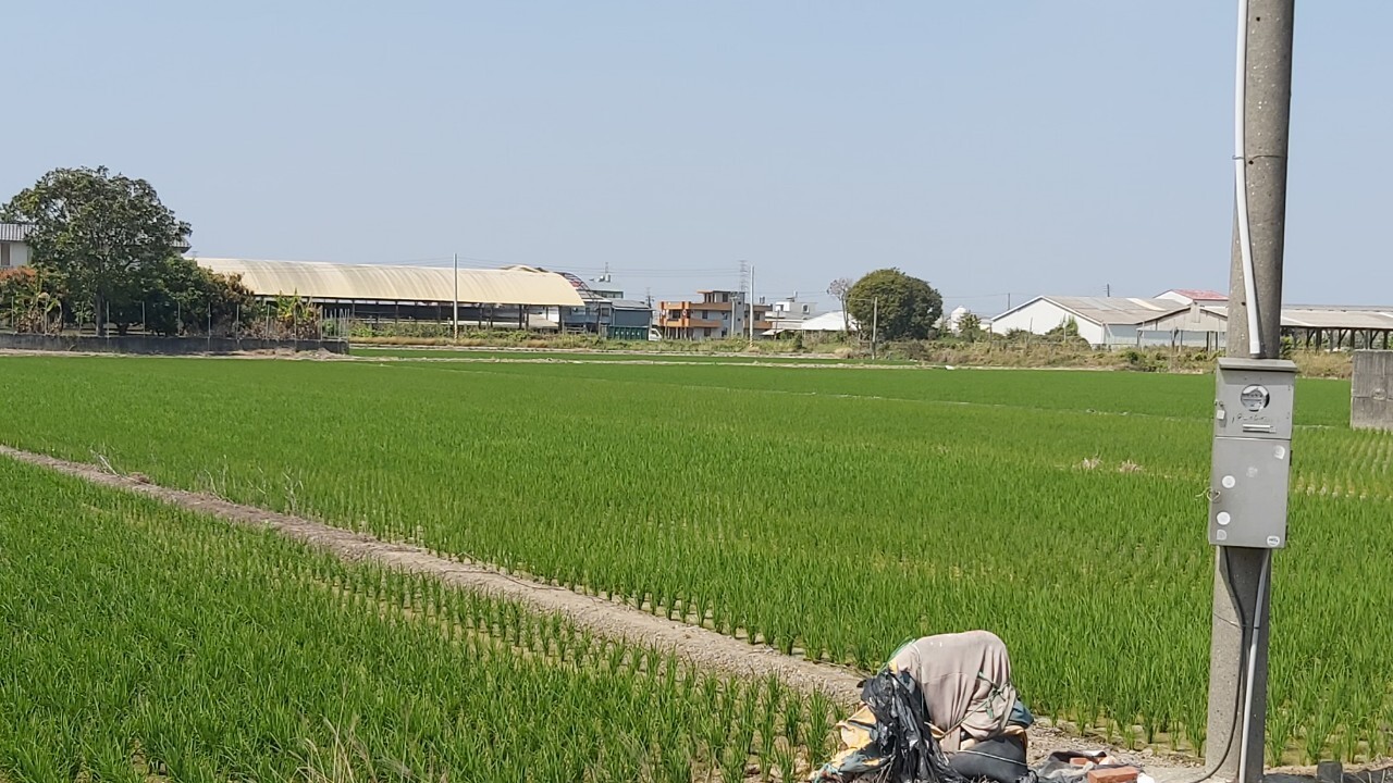 農地台南柳營八翁優美農地台灣房屋善化南科台南市柳營區八翁段 樂屋網 土地買賣