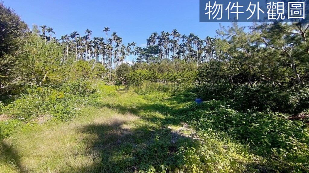 其他南林清悠身心靈美地~~大埔里房仲專家南投縣魚池鄉長寮段 樂屋網 土地買賣