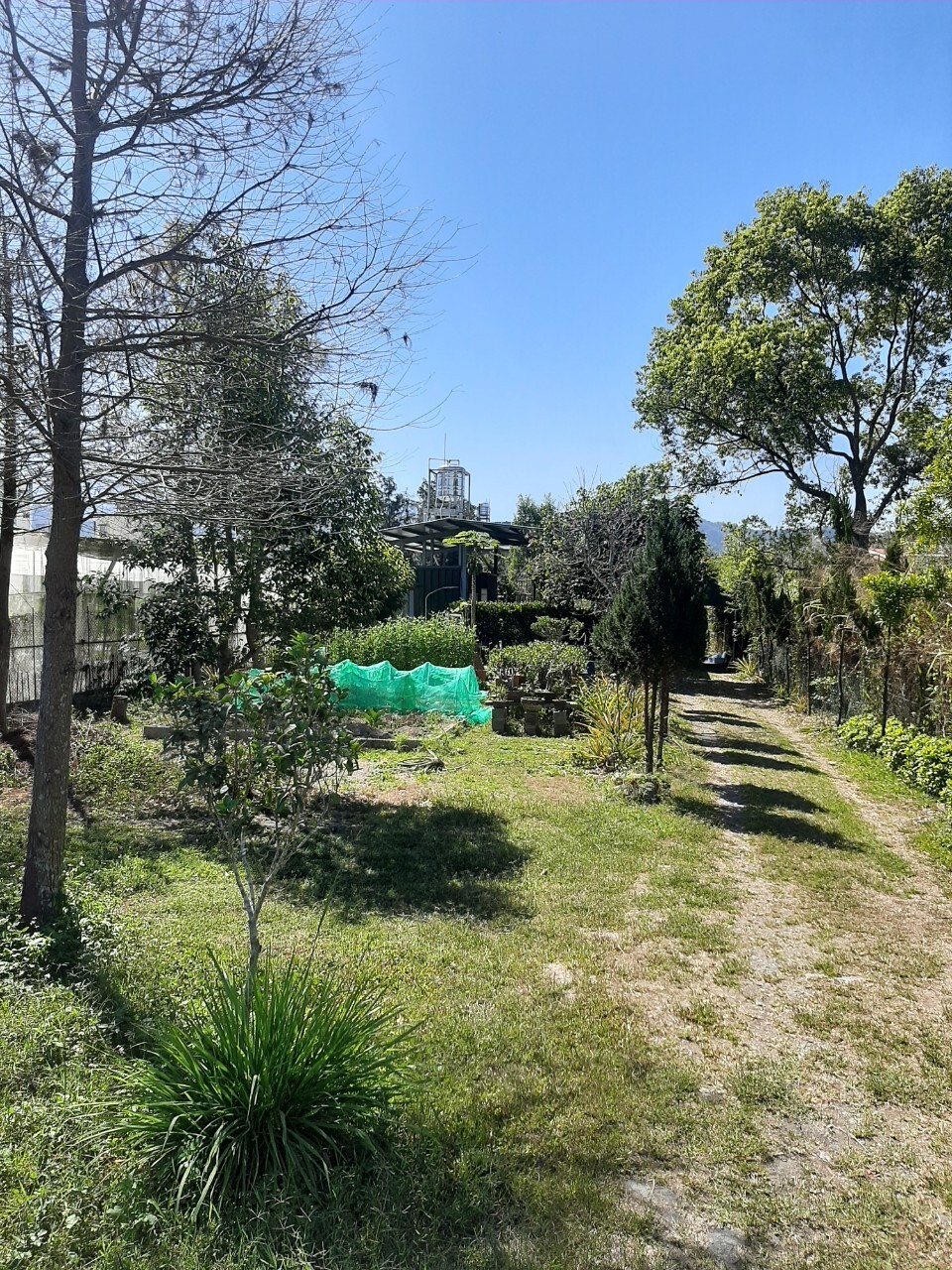 農地近市區休閒開心農場~有水電~大埔里房仲專家南投縣埔里鎮大城路 樂屋網 土地買賣