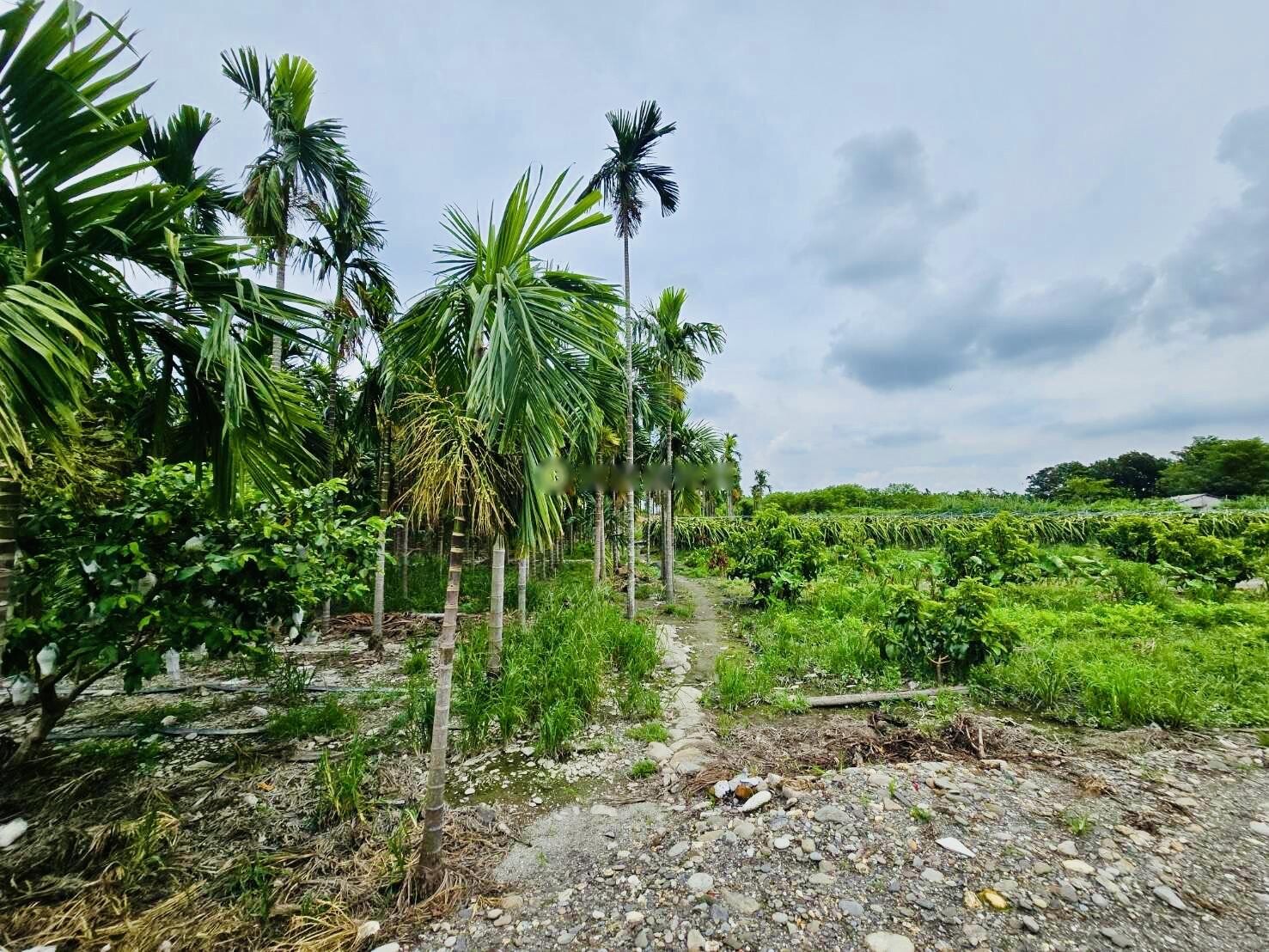 長治交流道旁西雅圖農莊錢袋寶地 看見口袋的天空 屏東縣長治鄉買房子、房屋出售 樂屋網