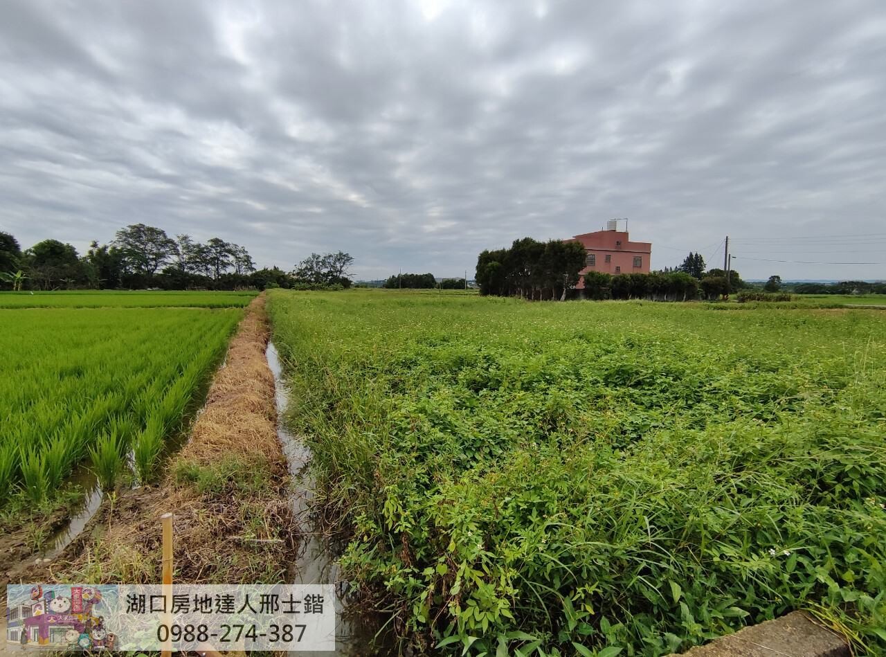 新屋正新湖路邊農地865坪湖口房地達人邢士鍇 桃園市新屋區買房子、房屋出售 樂屋網