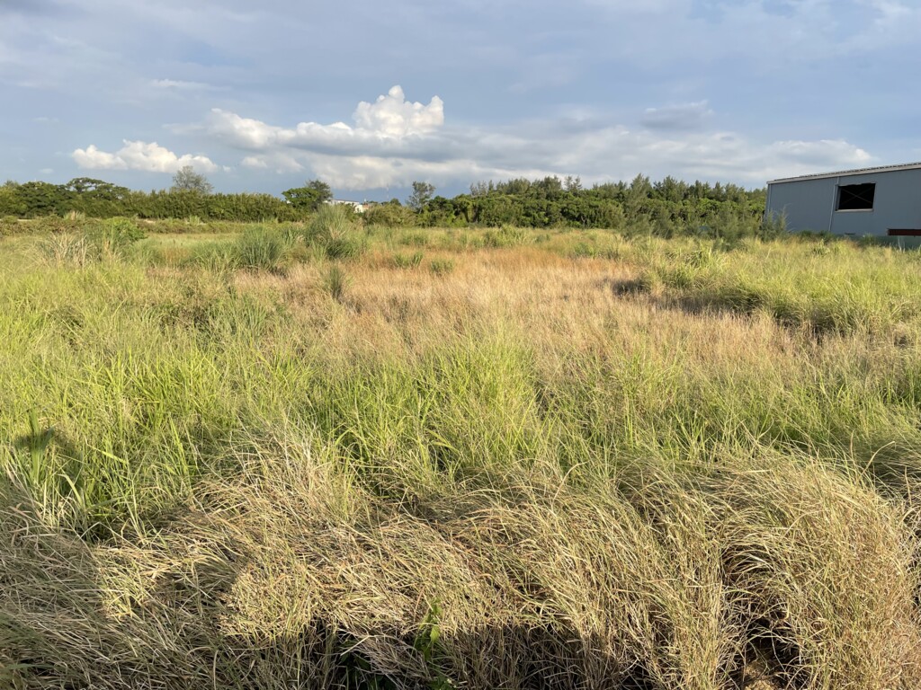 農地觀音區一般農業地可變更桃園市觀音區玉林路一段 樂屋網 土地買賣