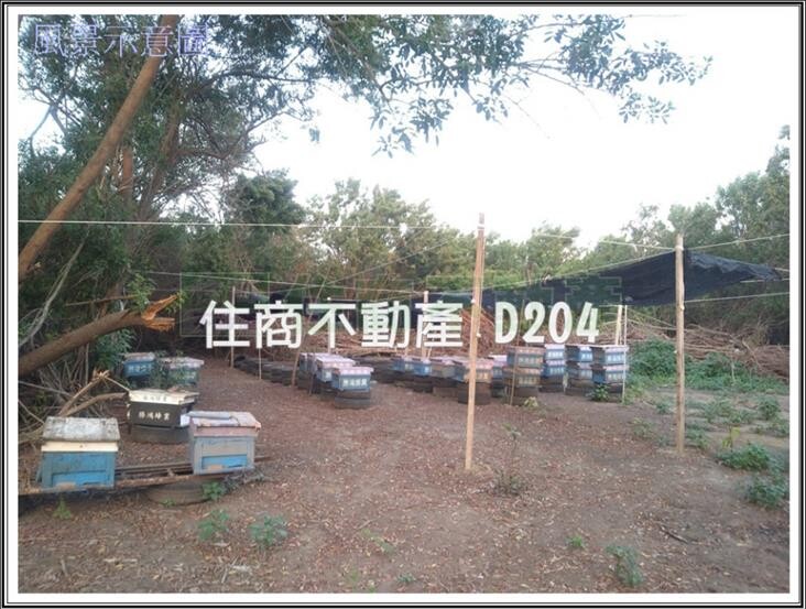 土地安南台江大道都內農地台南市安南區台江大道一段 樂屋網 土地買賣